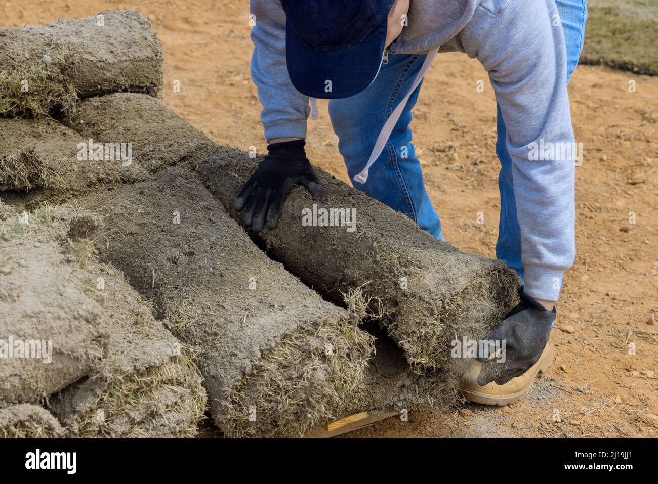 New lawn rolls of fresh grass turf ready to be used for gardening Stock ...