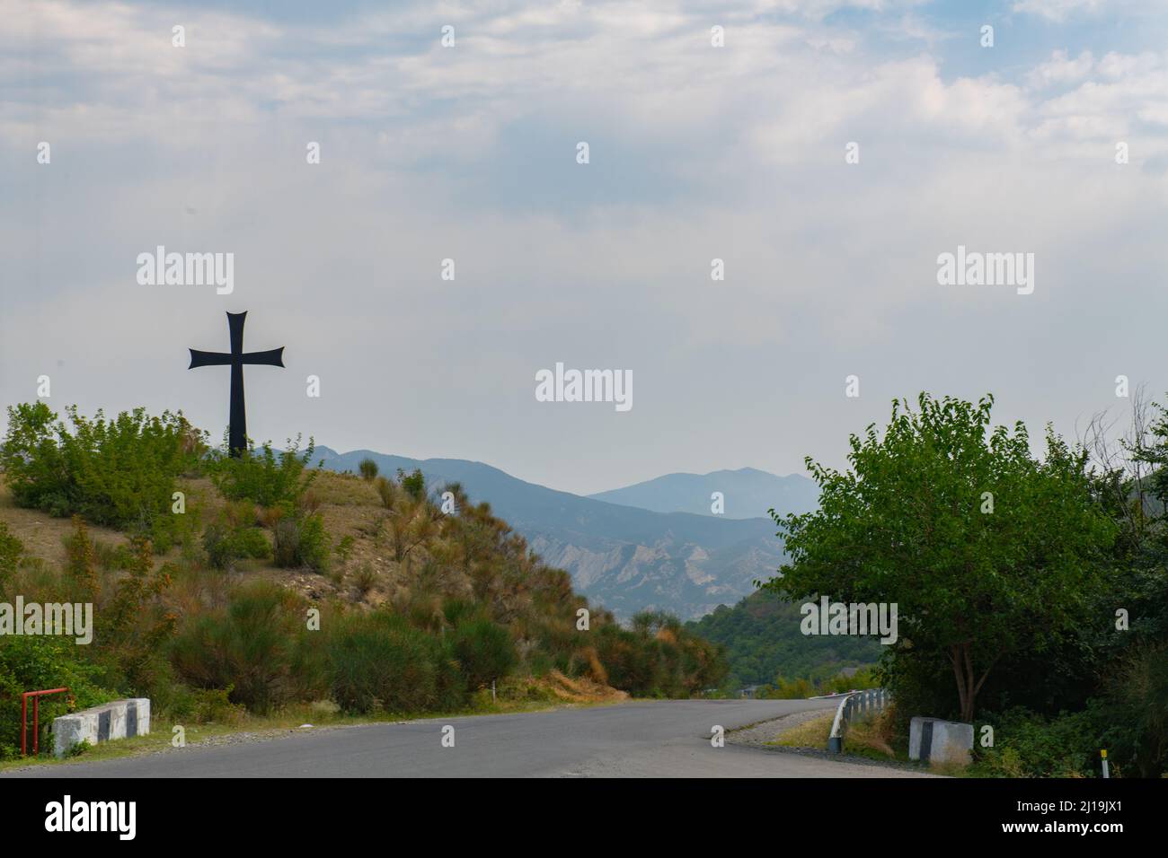 Tree of heaven grow on street hi-res stock photography and images - Alamy