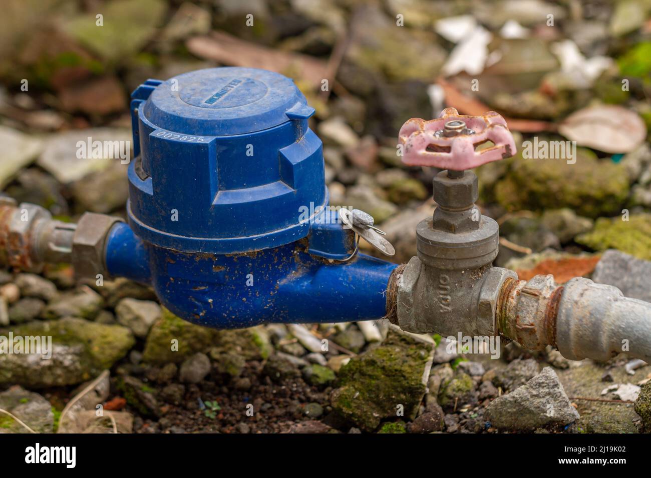 A blue faucet stop in the corner of a garden, used to control the flow ...