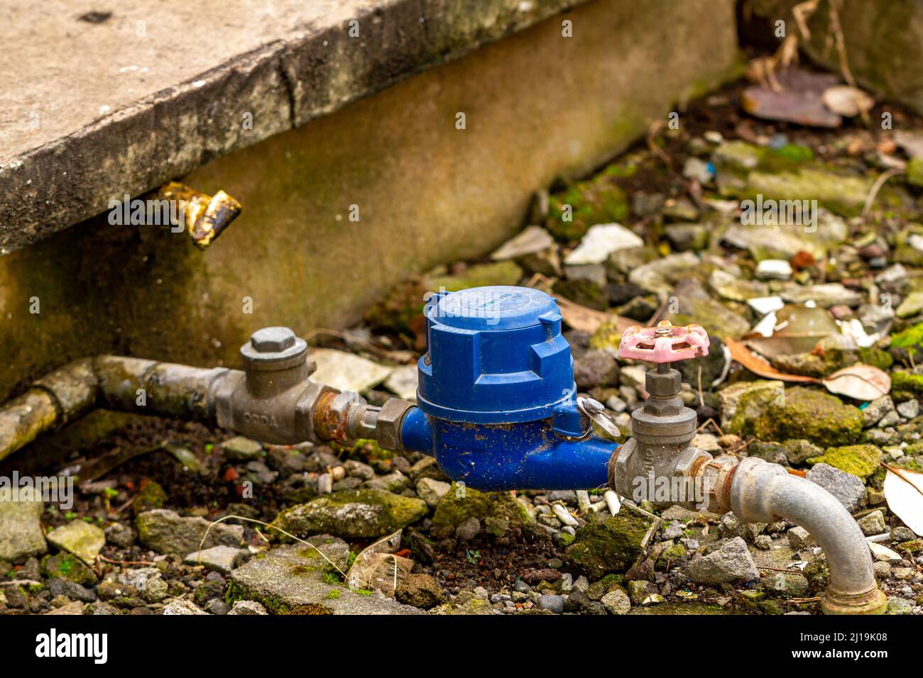 A blue faucet stop in the corner of a garden, used to control the flow ...