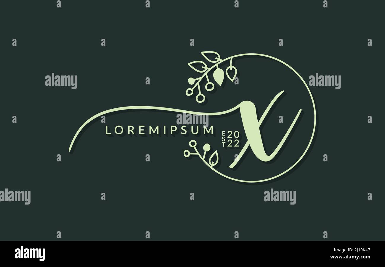 Handwritten Signature monogram Letter x calligraphic vector graphic ...