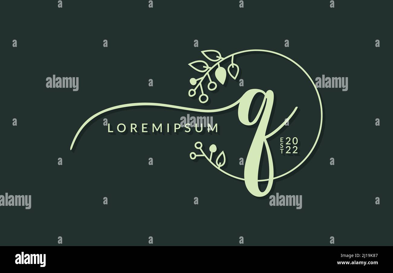 Handwritten Signature monogram Letter q calligraphic vector graphic ...