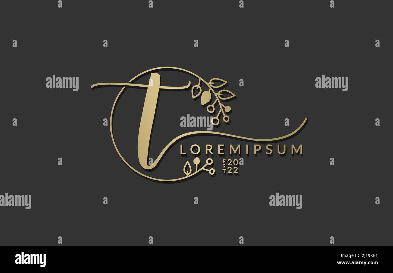 Handwritten Signature monogram Letter t calligraphic vector graphic ...