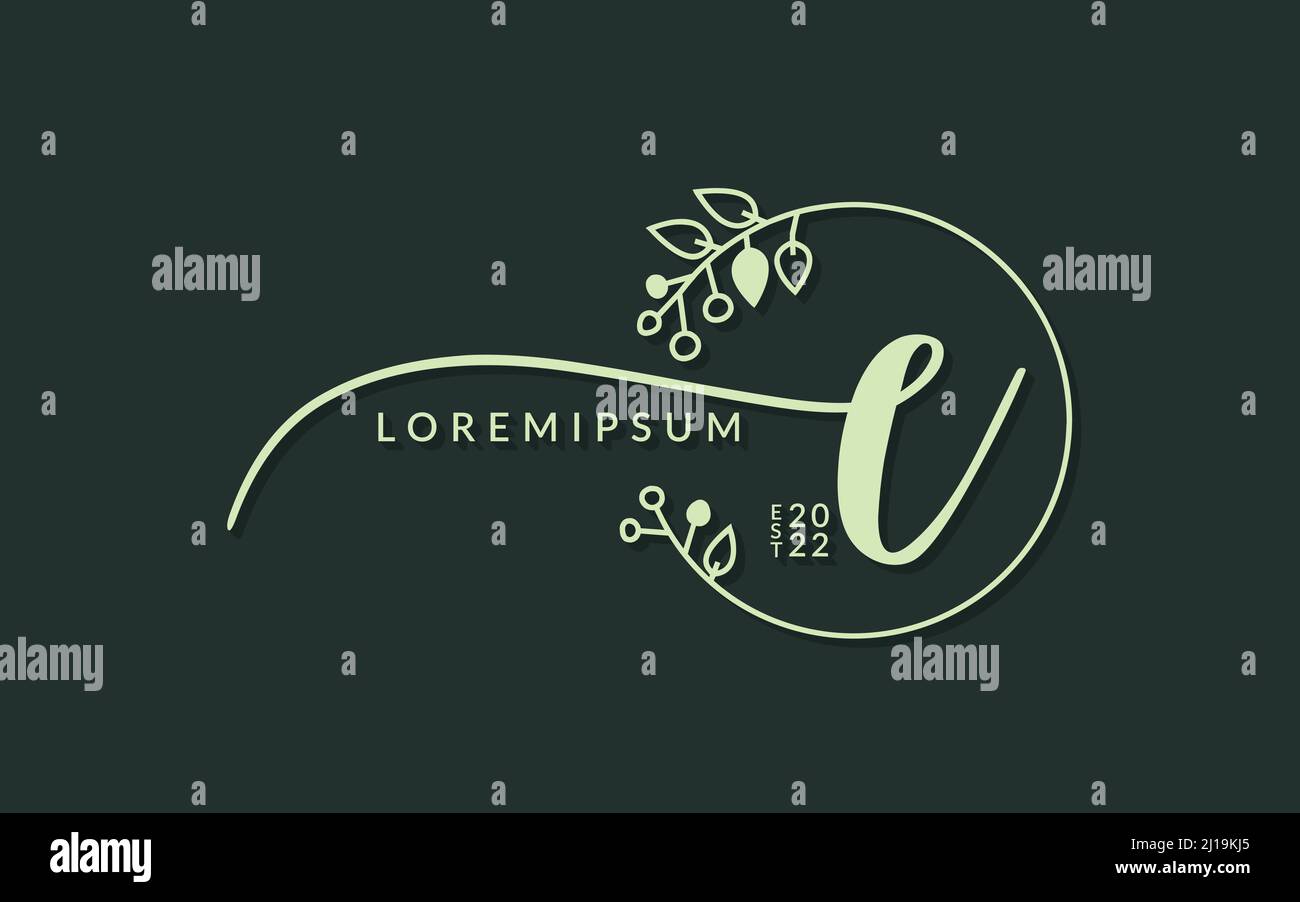 Handwritten Signature monogram Letter e calligraphic vector graphic ...