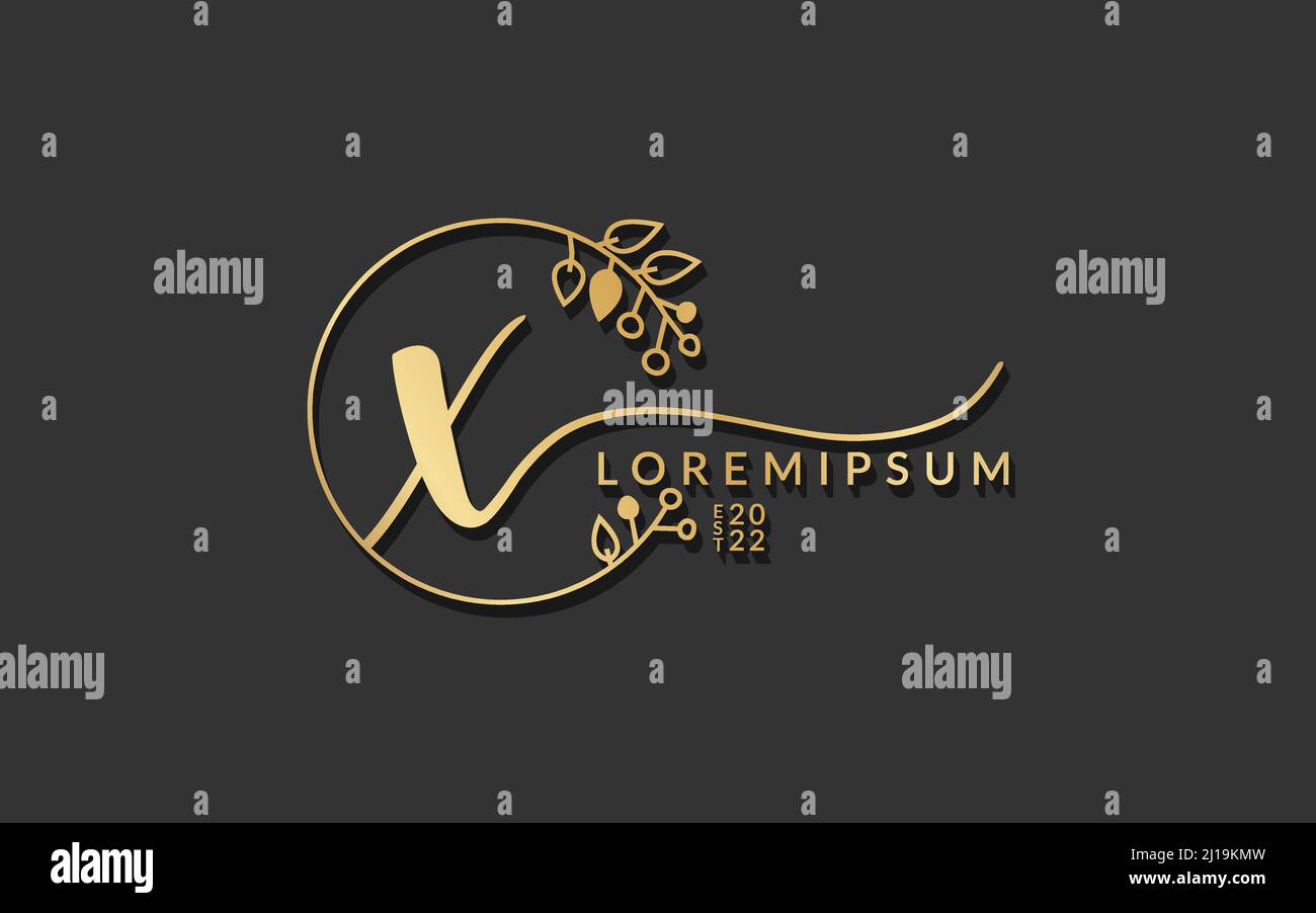 Handwritten Signature monogram Letter x calligraphic vector graphic ...