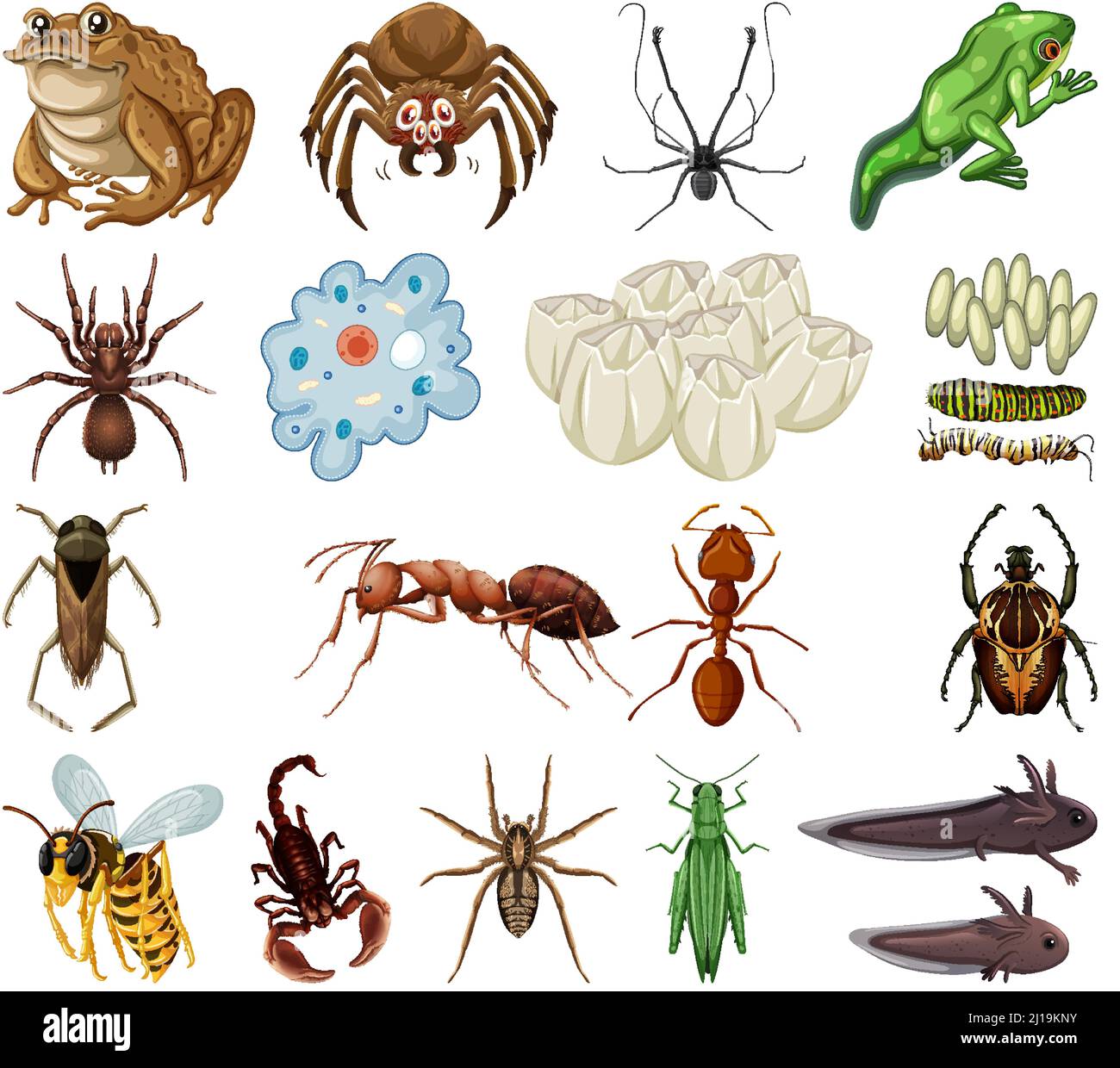 Different kinds of insects and animals on white background illustration ...