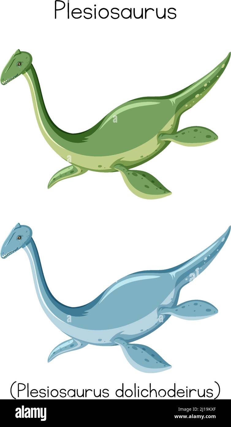Plesiosaurus in two colors illustration Stock Vector Image & Art - Alamy