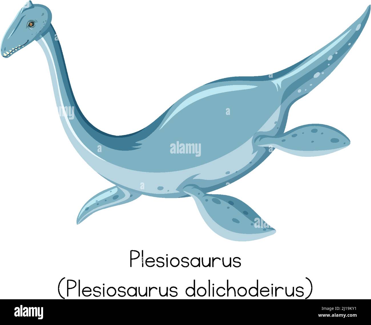 Jurassic plesiosaurus Stock Vector Images - Alamy