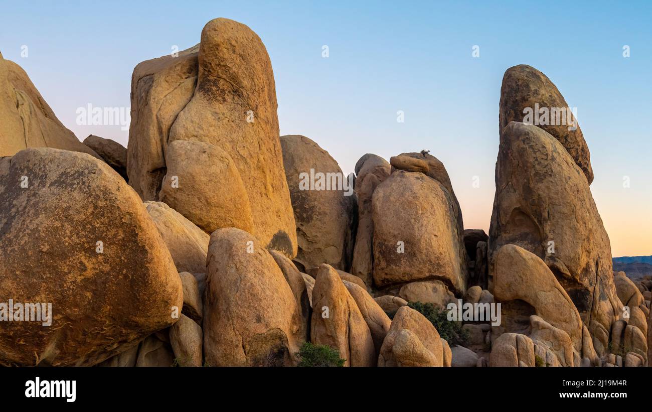 Amazing landscape in Joshua Tree National Park during fall months Stock ...
