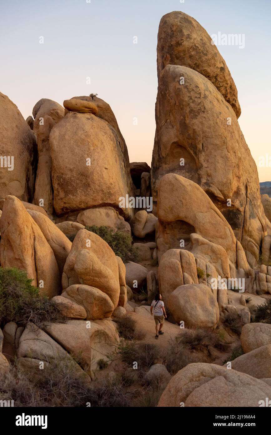 Amazing landscape, background view in the Mojave Desert from Joshua ...