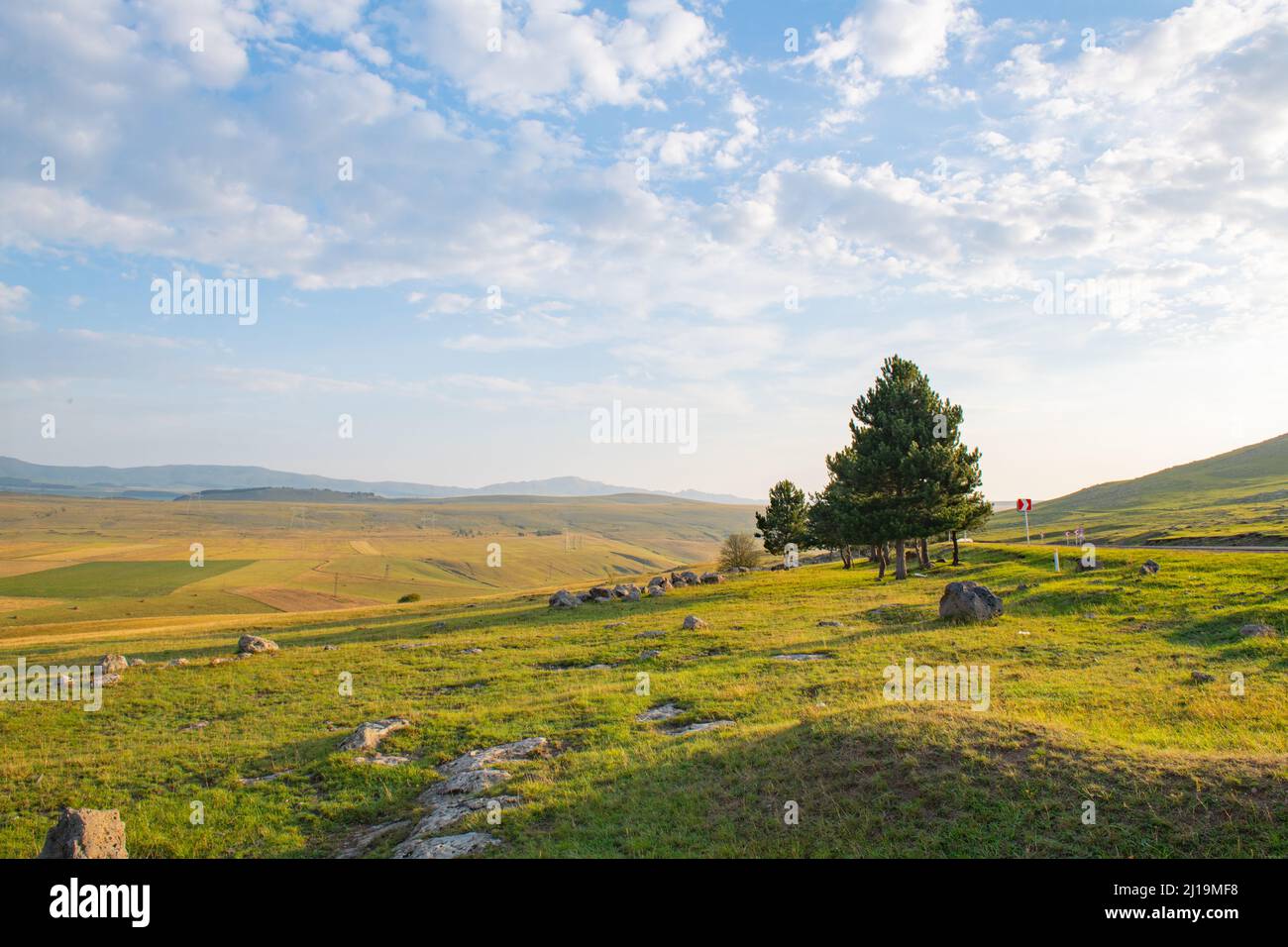 Colchis forest hi-res stock photography and images - Alamy