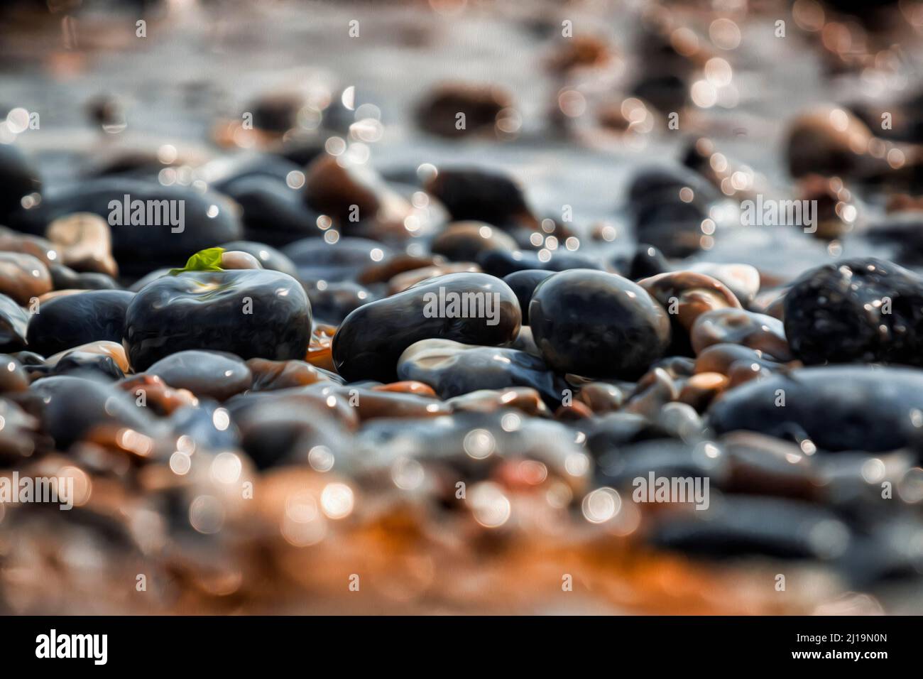 Shiny pebbles on the beach illuminated by the sun, twinkling lights ...