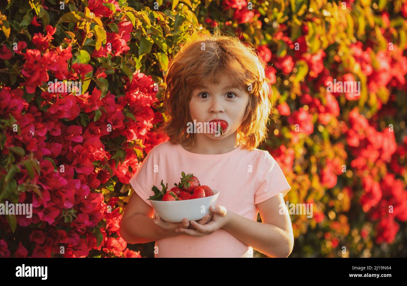 Child strawberry picking close hi-res stock photography and images - Alamy