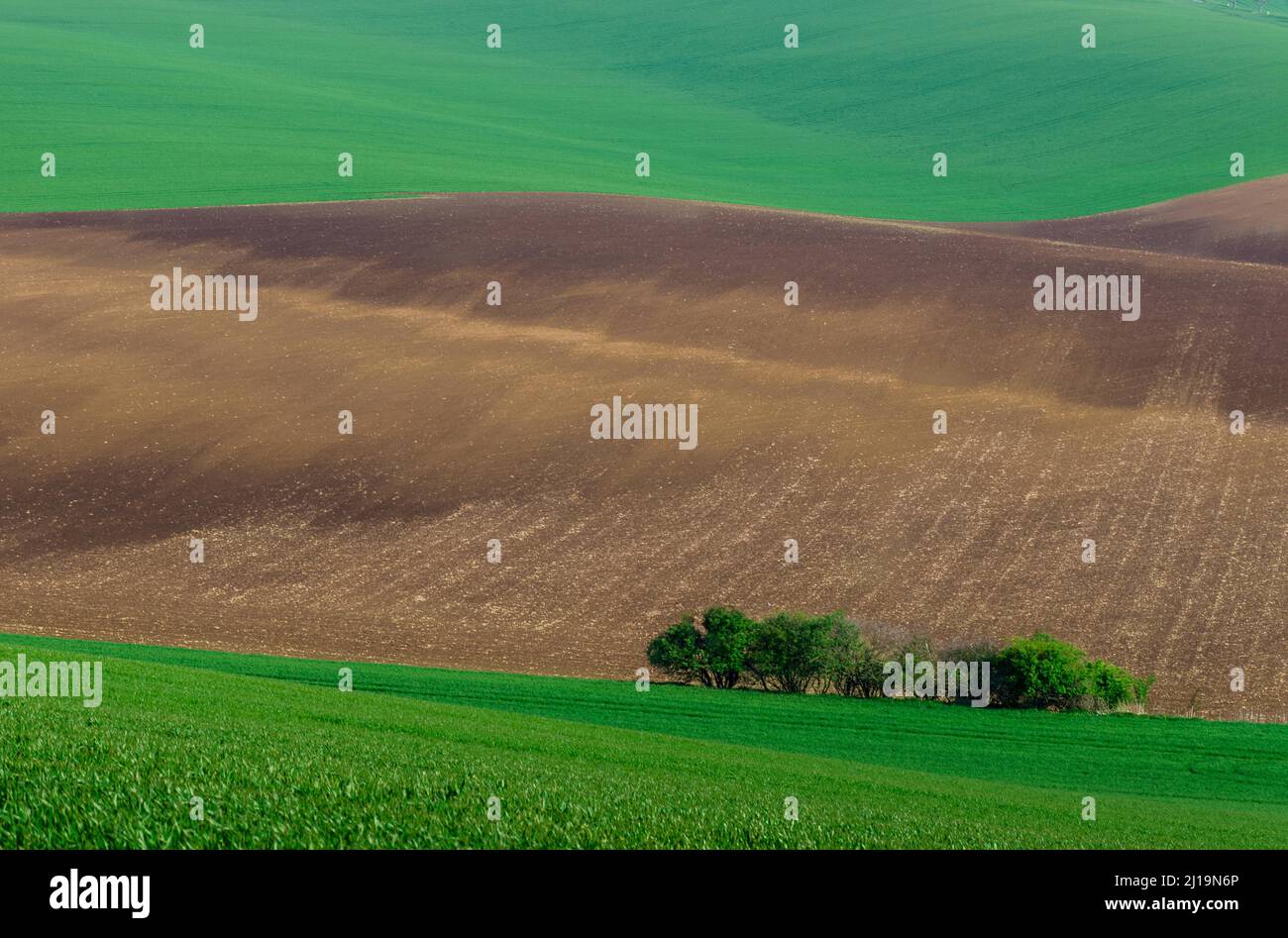 Beautiful and colorful abstract landscape, with rolling hills and green ...