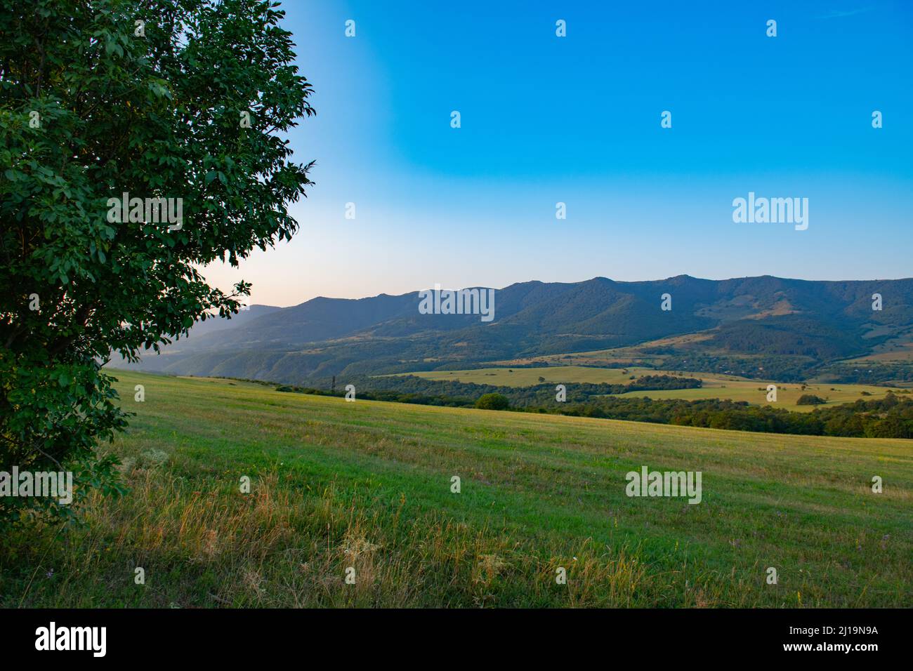 in the east of Georgia are the fertile plains of the provinces Stock ...