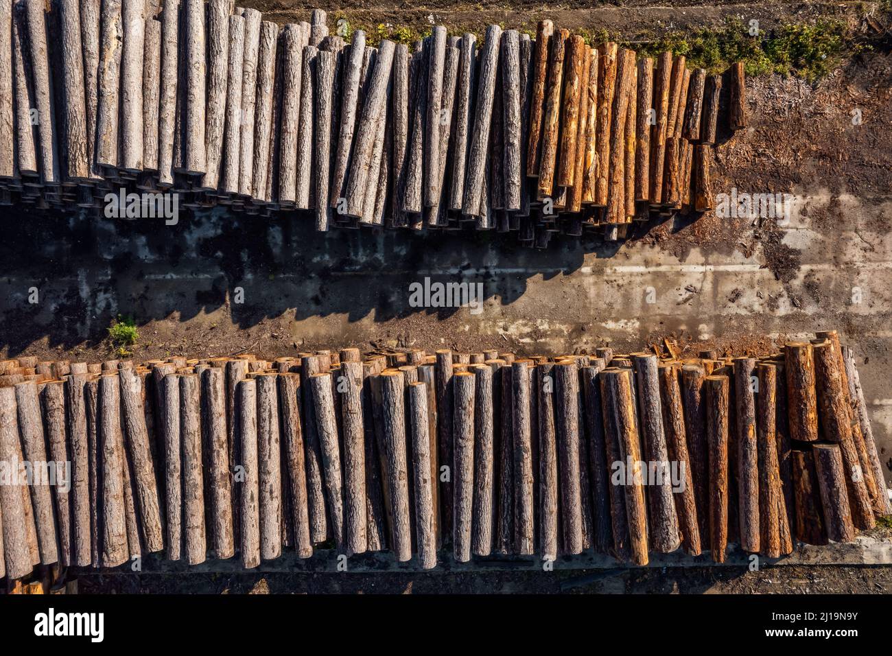 Log trunks pile trees, logging timber wood industry concept. Aerial top ...