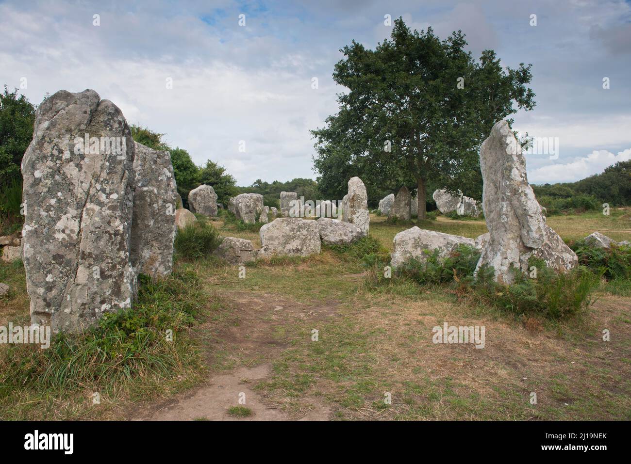 Menhirs, megaliths, Erdeven, Brittany, France Stock Photo - Alamy