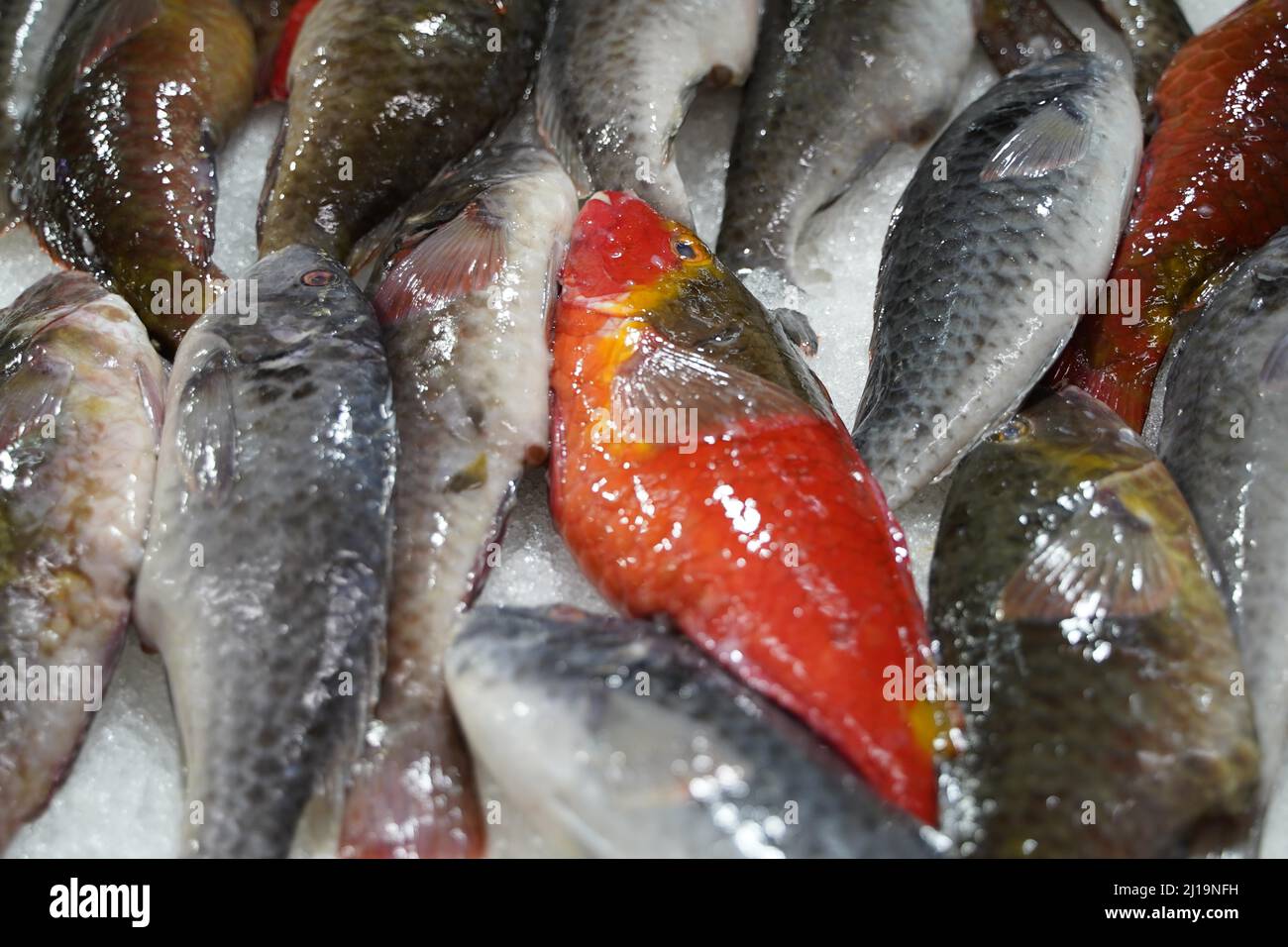 Tenerife food fish hi-res stock photography and images - Alamy