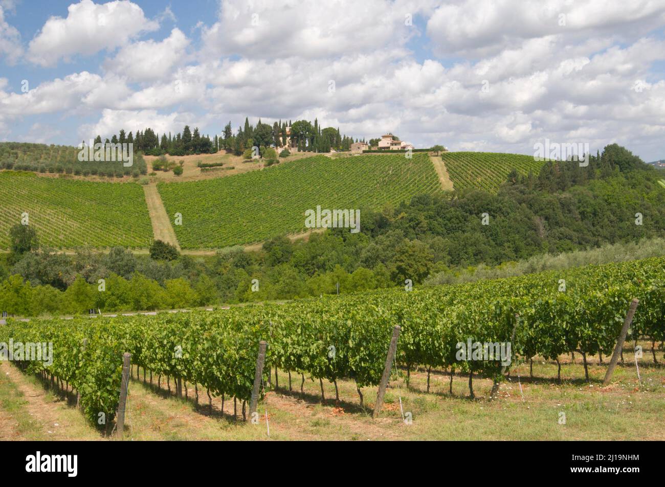 Chianti wine region hi-res stock photography and images - Alamy