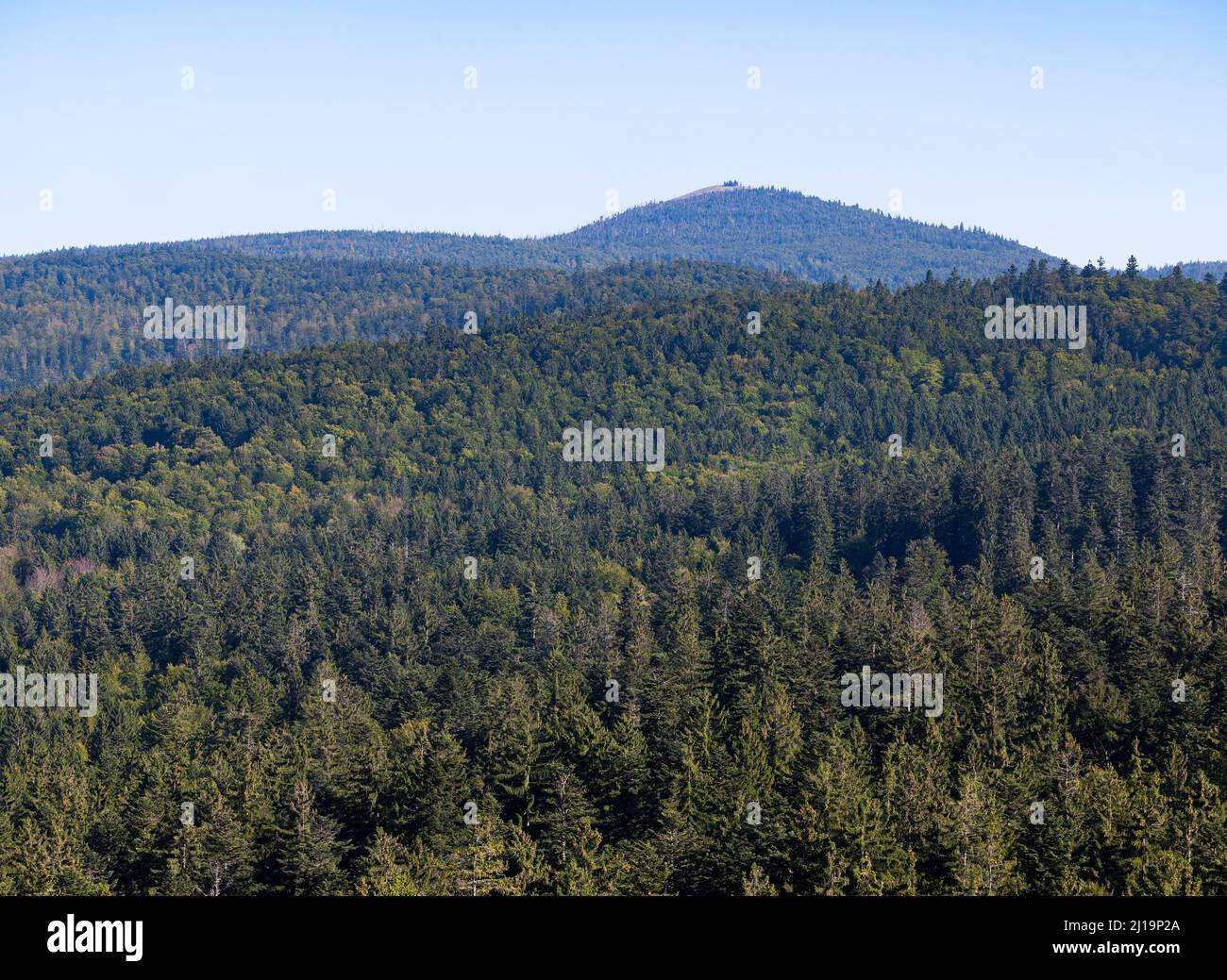 View from the top of the lusen hi-res stock photography and images - Alamy