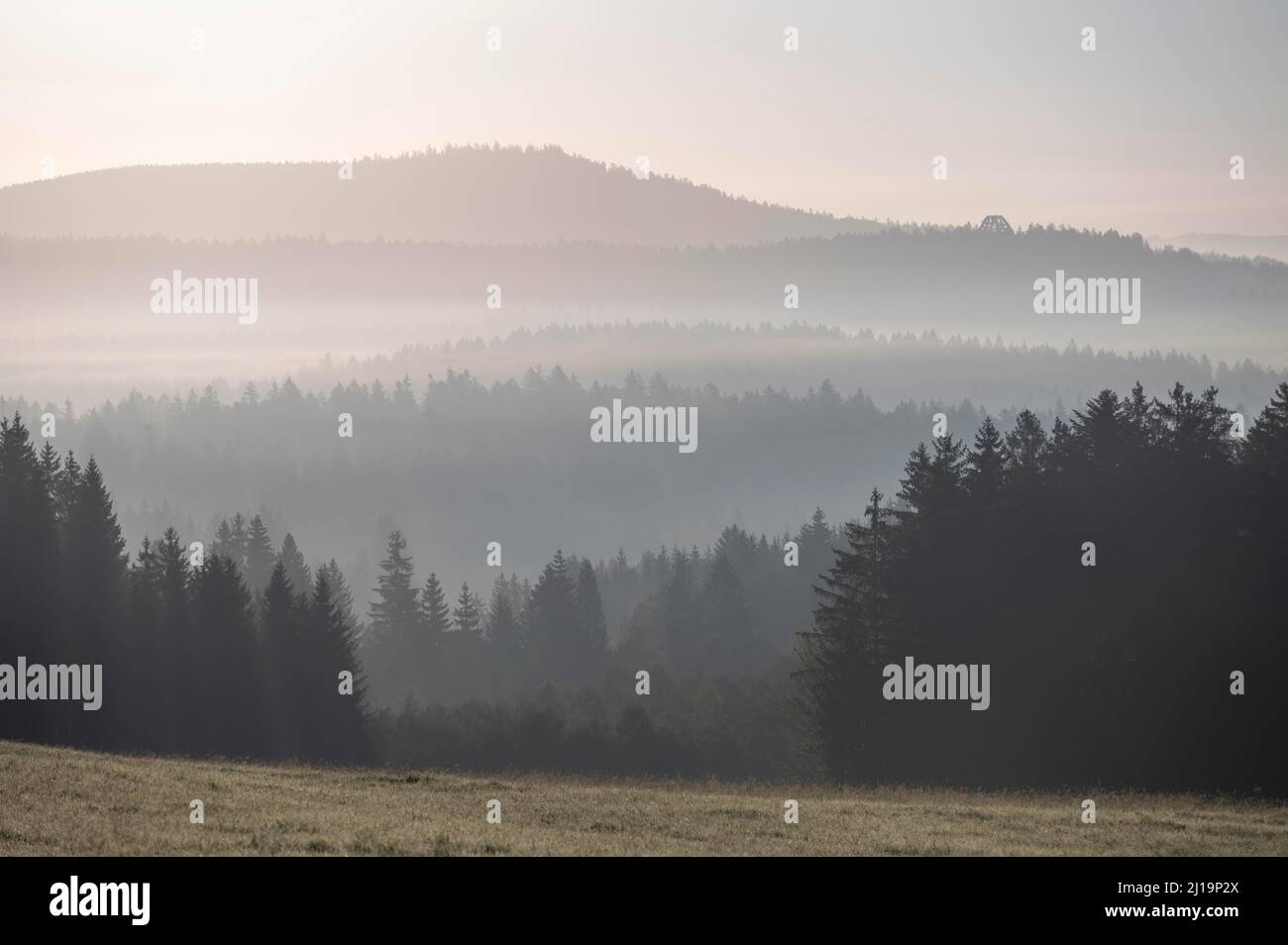 Morning mist in the Bavarian Forest, in the back the observation tower ...