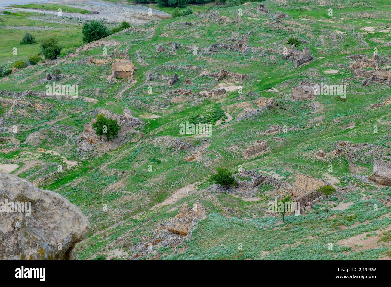Forest green terrain hi-res stock photography and images - Alamy