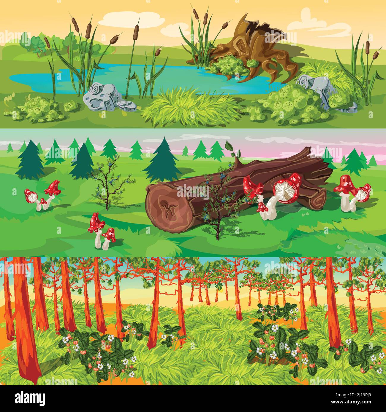 Forest horizontal banners set with pond and reeds spruces and mushrooms ...