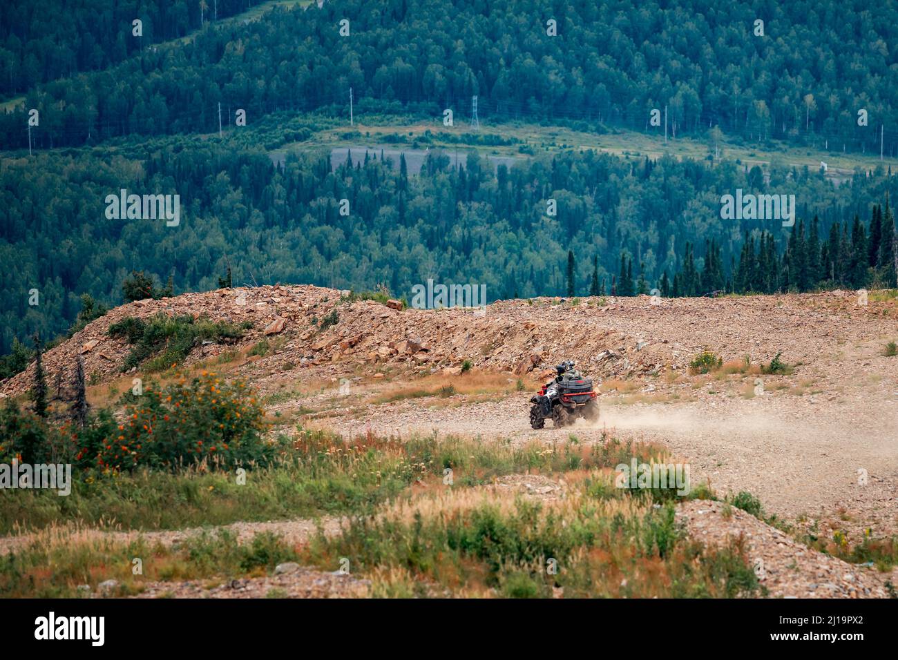 ATV bike rides through forest off-road in trip summer Stock Photo - Alamy