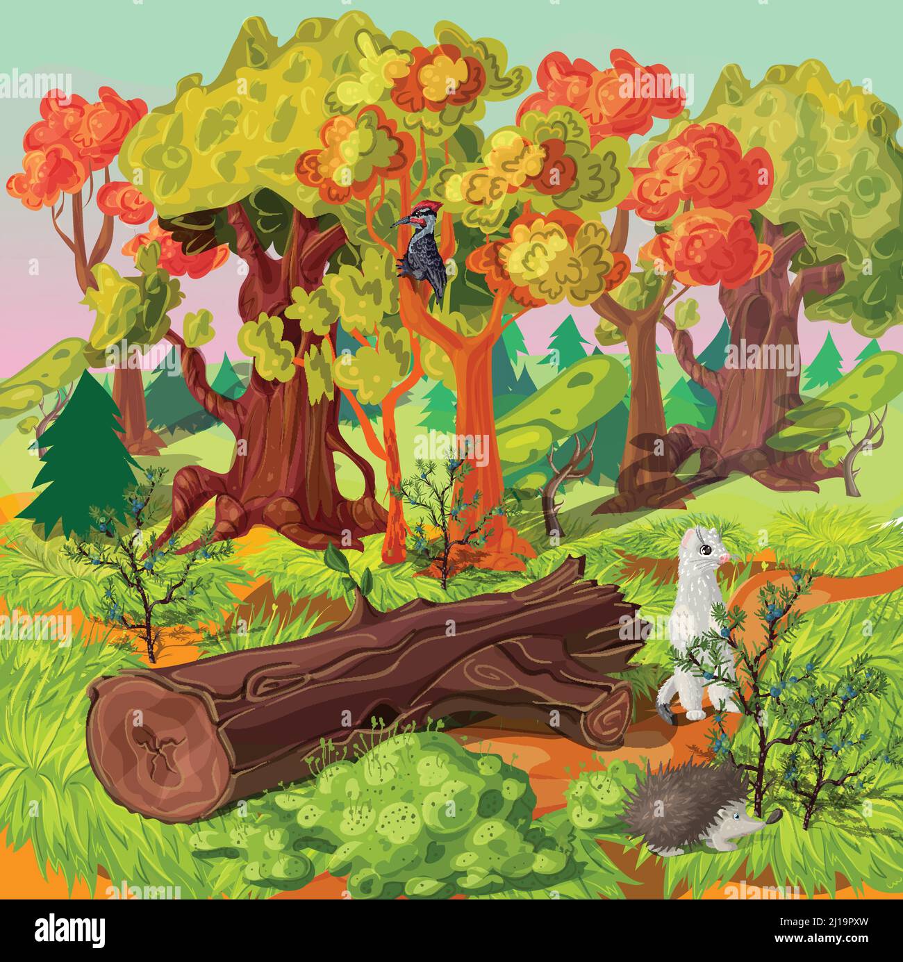 Deciduous Forest Trees Clipart