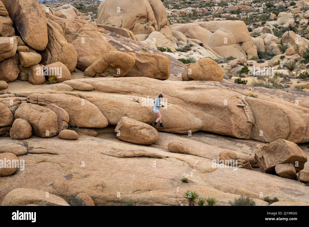 Hiking landscape views in Joshua Tree National Park, California Stock ...