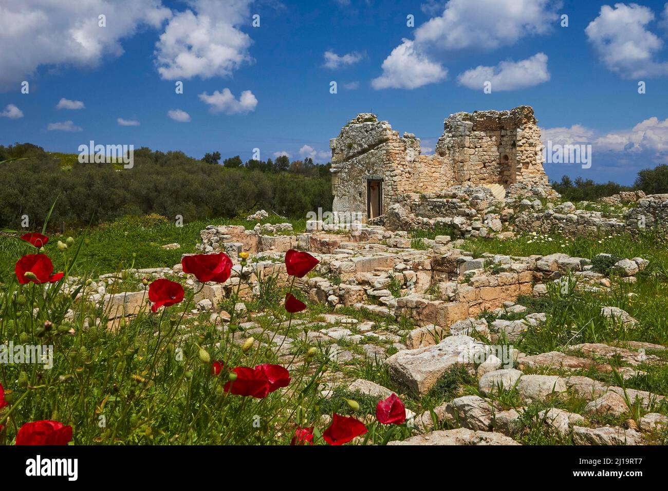 Roman bathhouse complex hi-res stock photography and images - Alamy