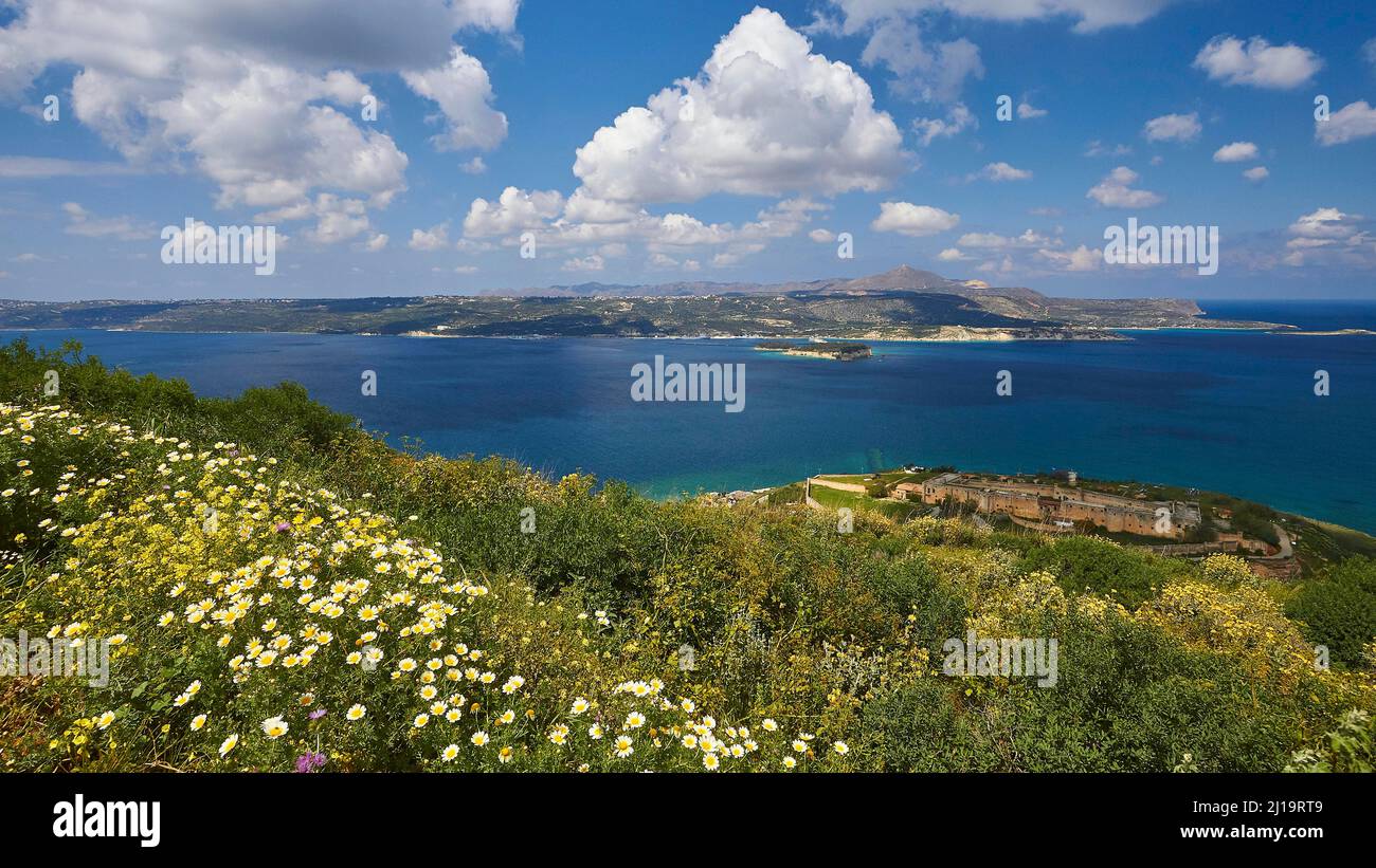 Spring in Crete, spring meadow, slope, Souda bay, Akrotiri peninsula ...