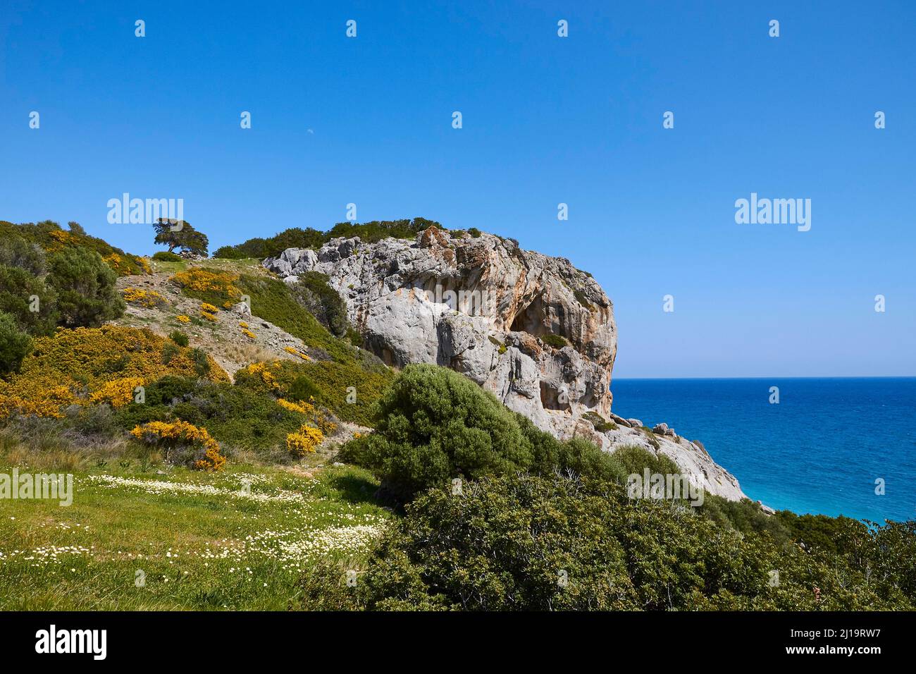 Spring in Crete, broom bushes, rocks, spring meadow, blue sea, blue sky ...