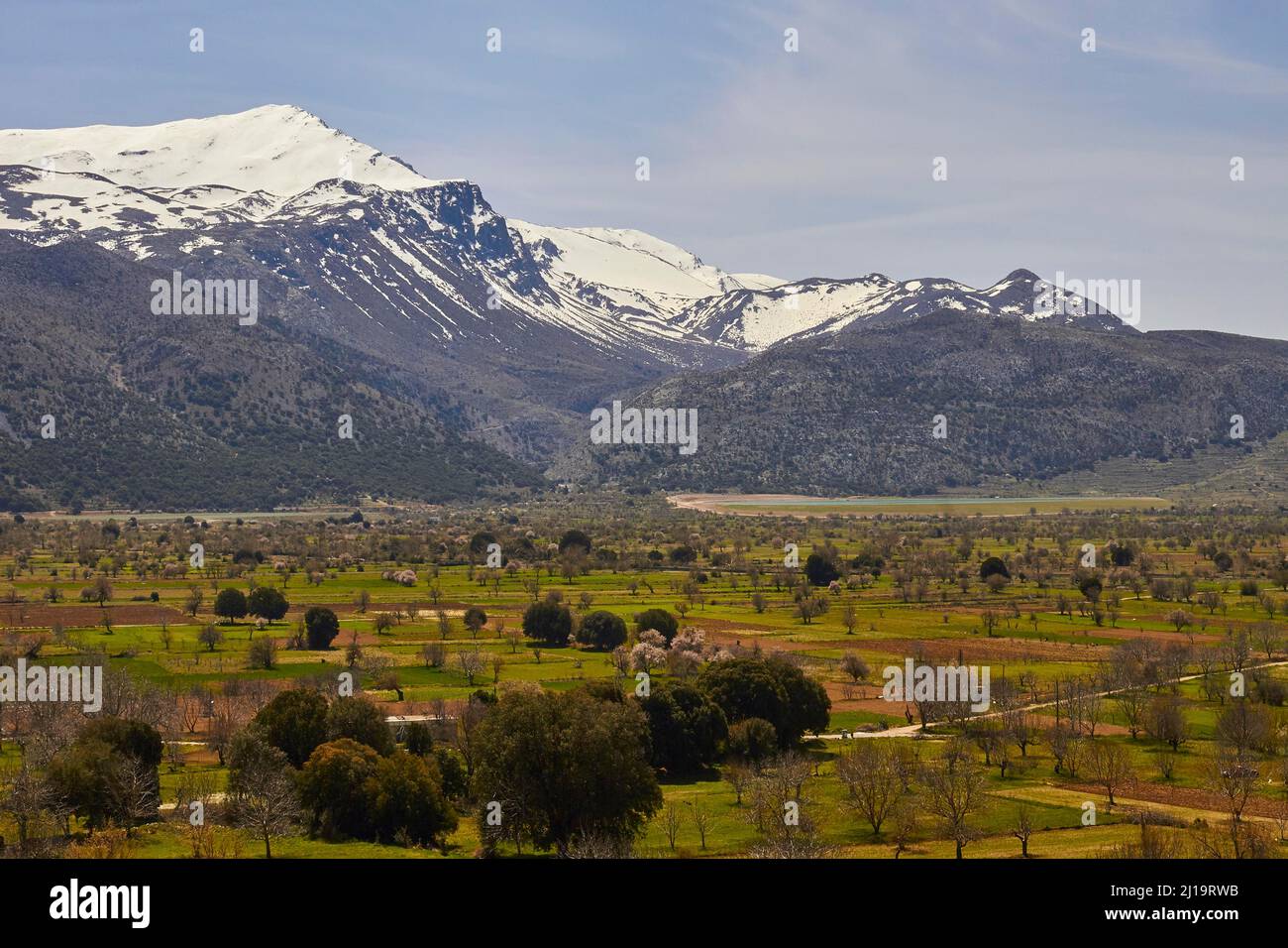 Spring in Crete, plateau, fertile plain, snow-capped mountains, trees ...