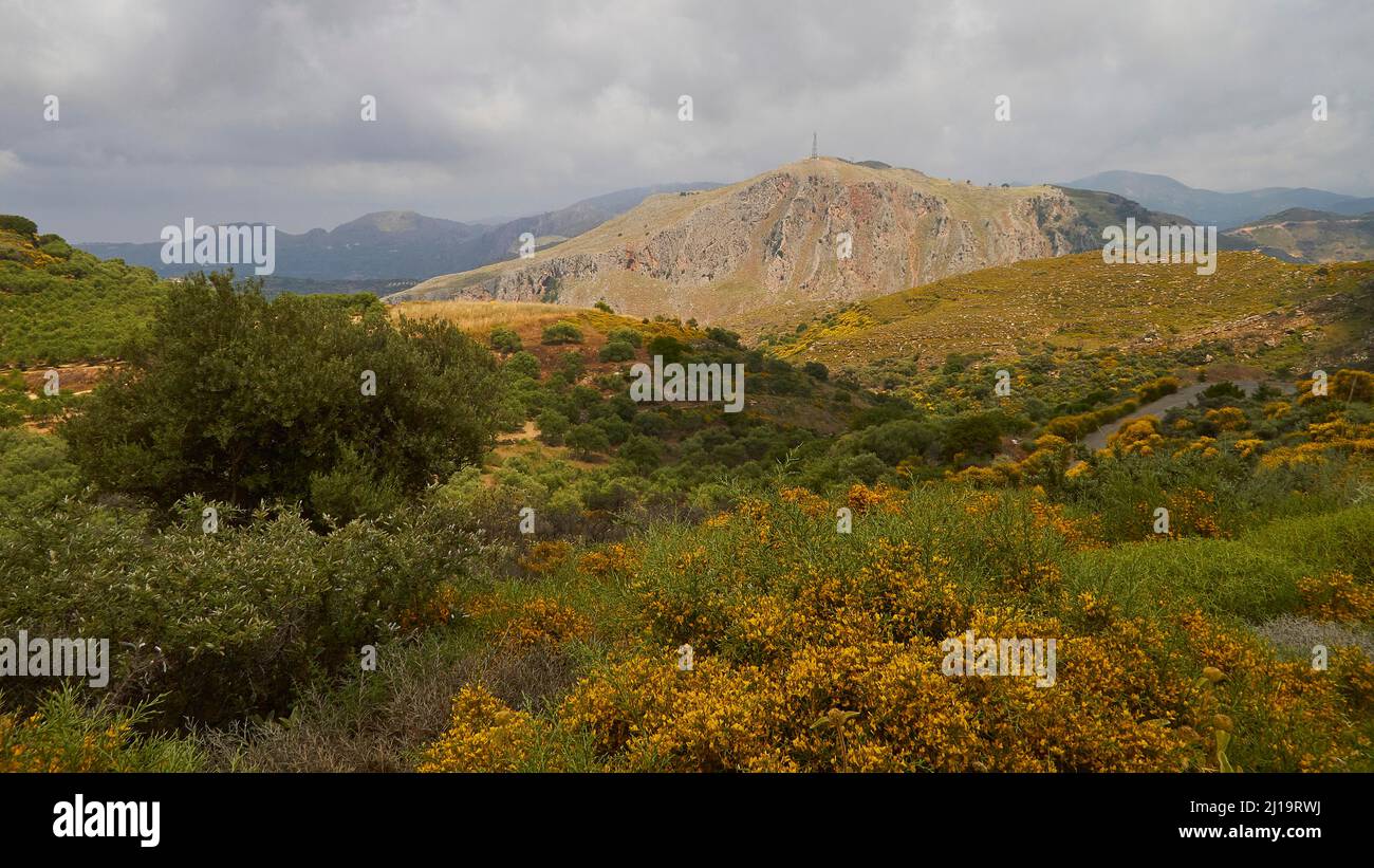 Spring in Crete, green bushes, broom bush, barren hill, cloudy sky ...