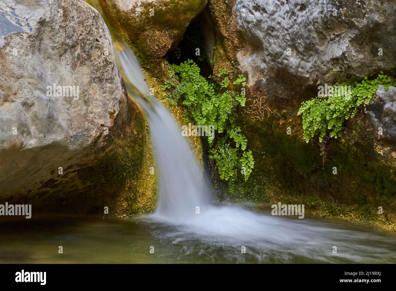 Spring in Crete, Stream, Small waterfall, Long exposure, Samaria Gorge ...