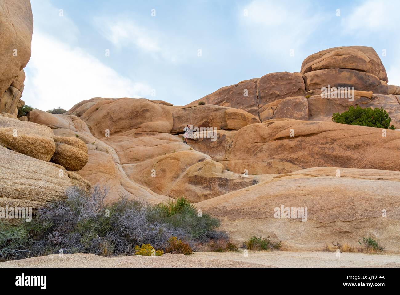 Hiking landscape views in Joshua Tree National Park, California with ...