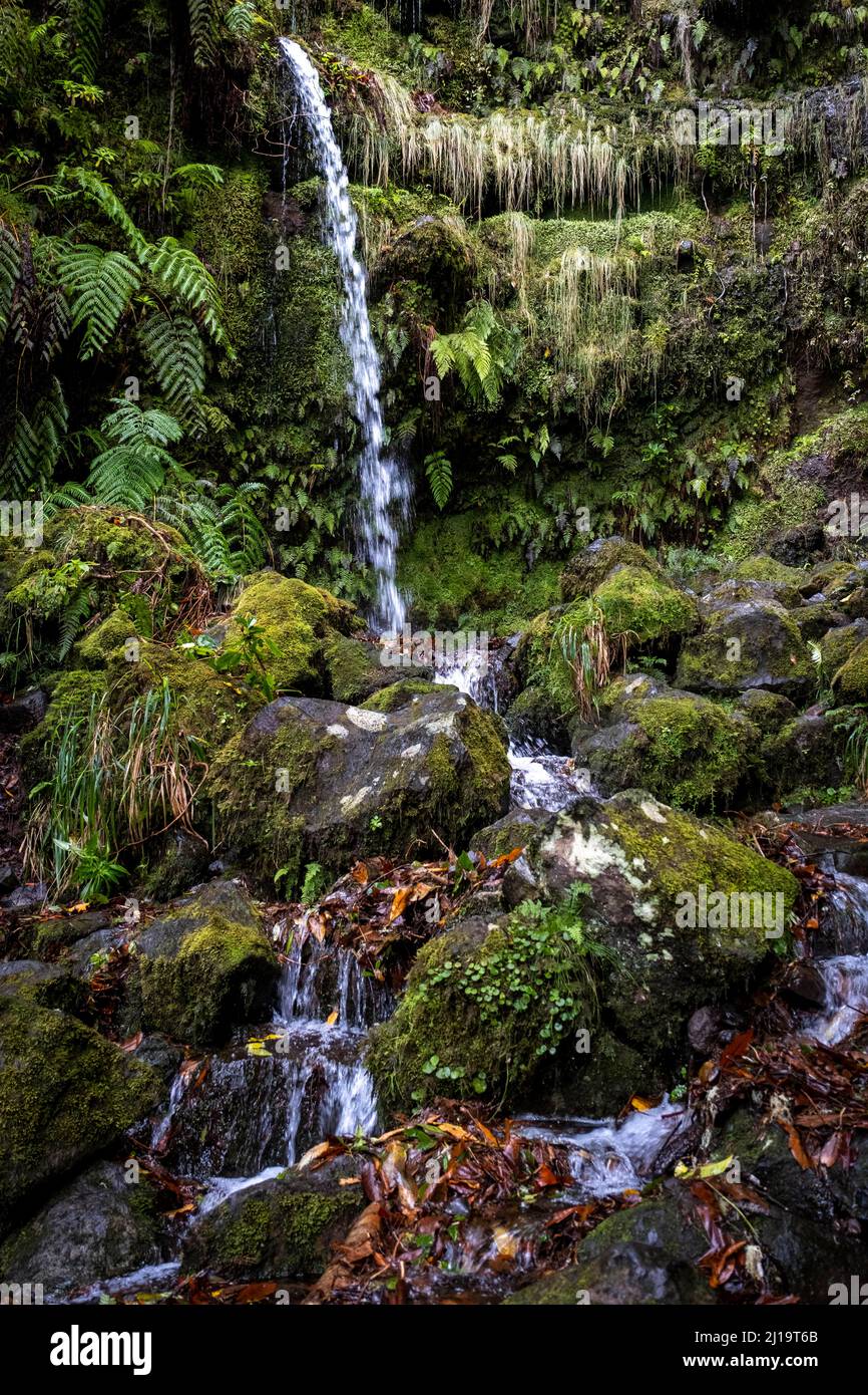 Waterfall, green cauldron Caldeirao Verde, Queimadas, Madeira, Portugal ...
