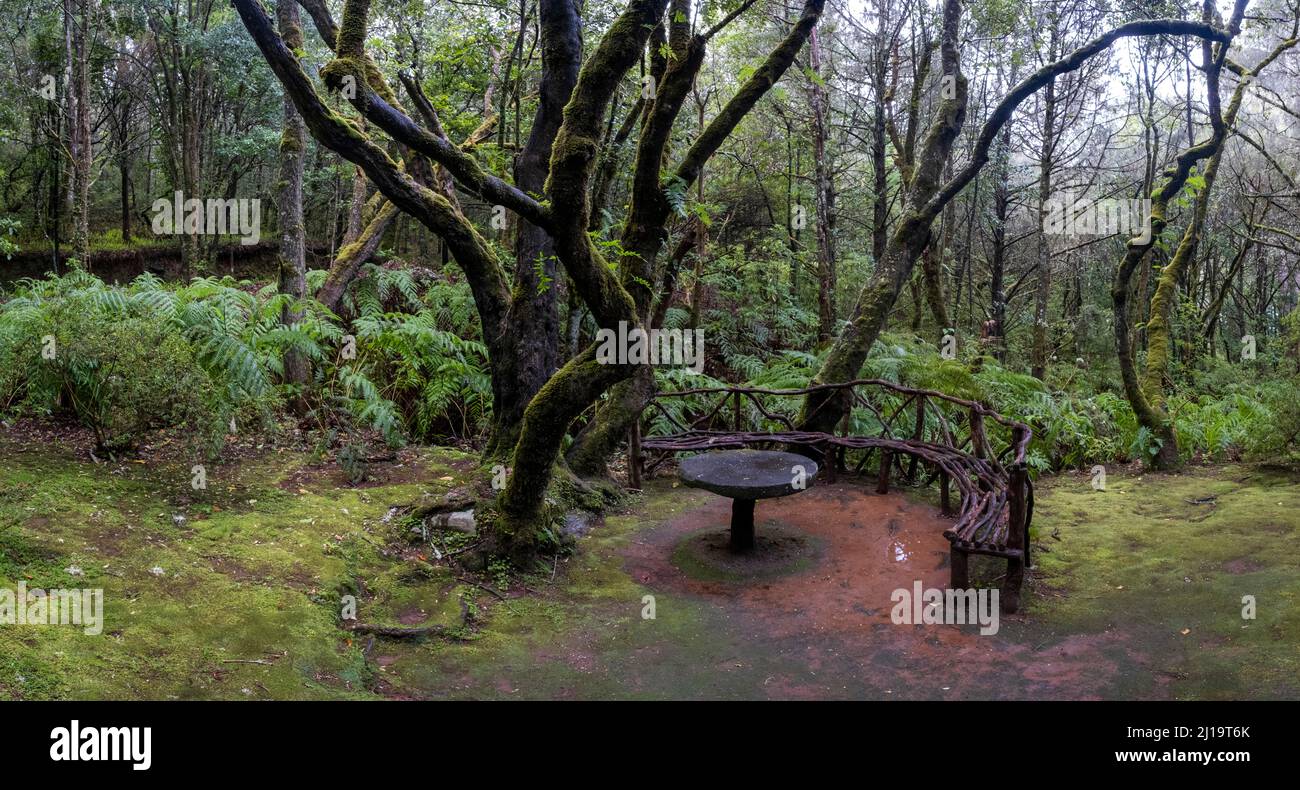Rest area, Queimadas, Madeira, Portugal Stock Photo - Alamy