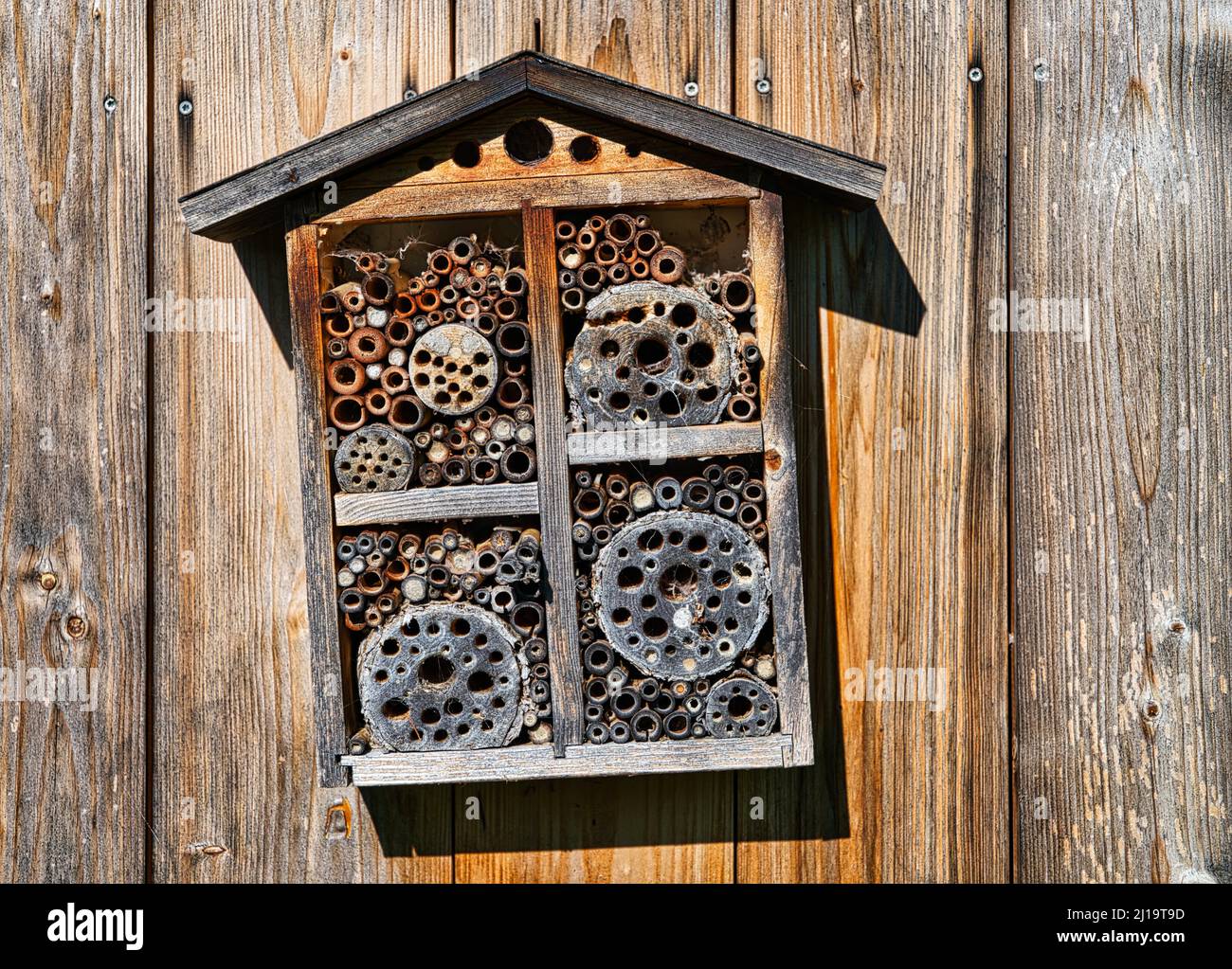 Insect hotel on wooden wall, hanging at an angle, Wolfhausen ...