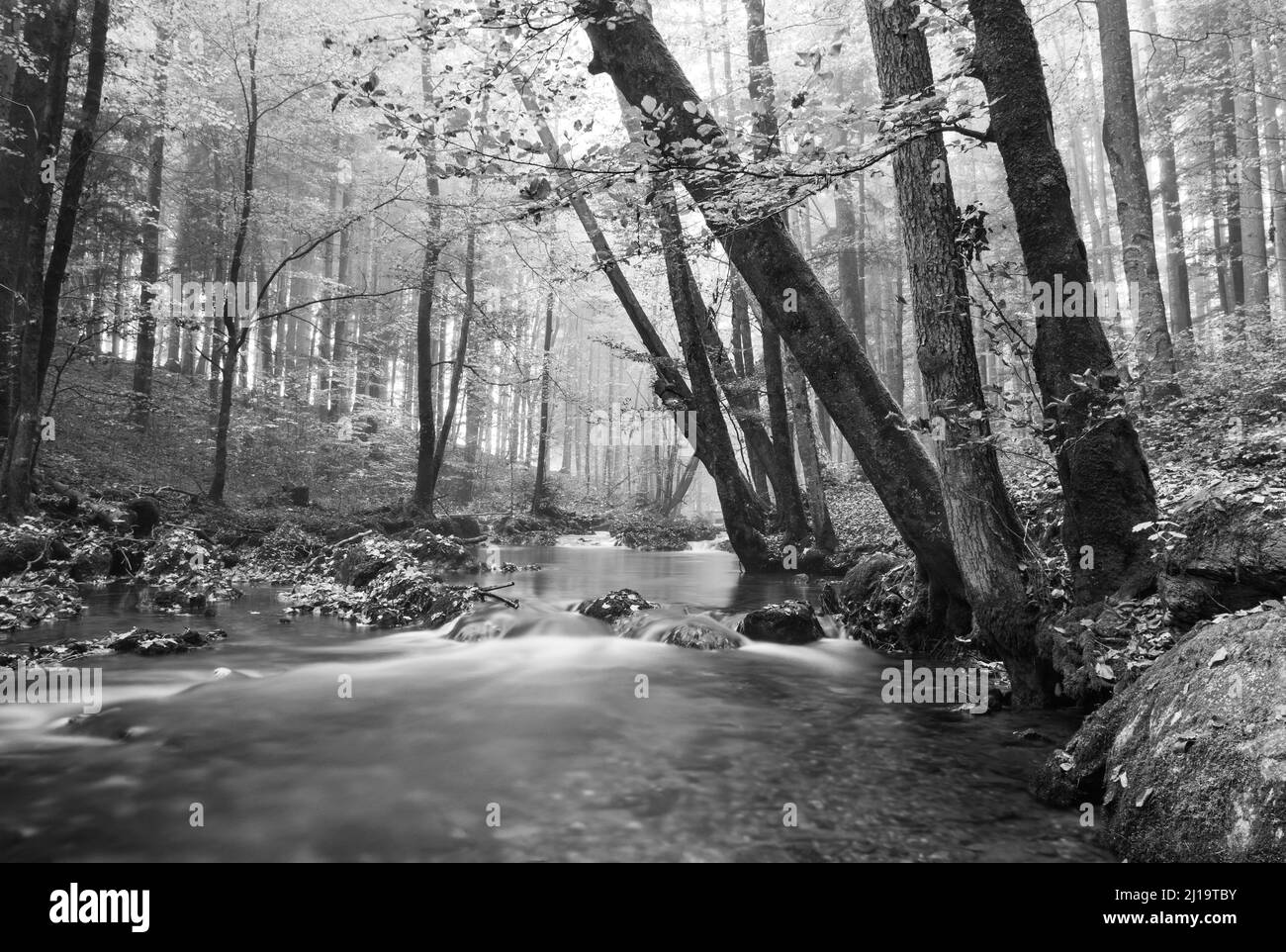 Color flows Black and White Stock Photos & Images - Alamy