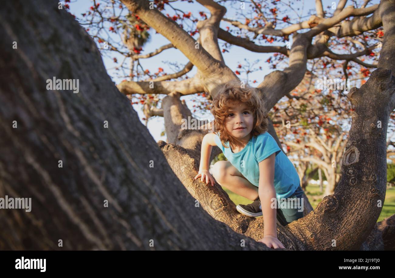 Kid boy trying to climbing on the tree. Child climb in adventure park ...