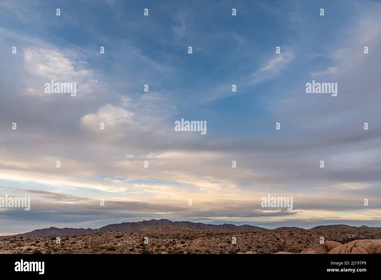 Pastel pink and orange sunset in Joshua Tree National with full desert ...