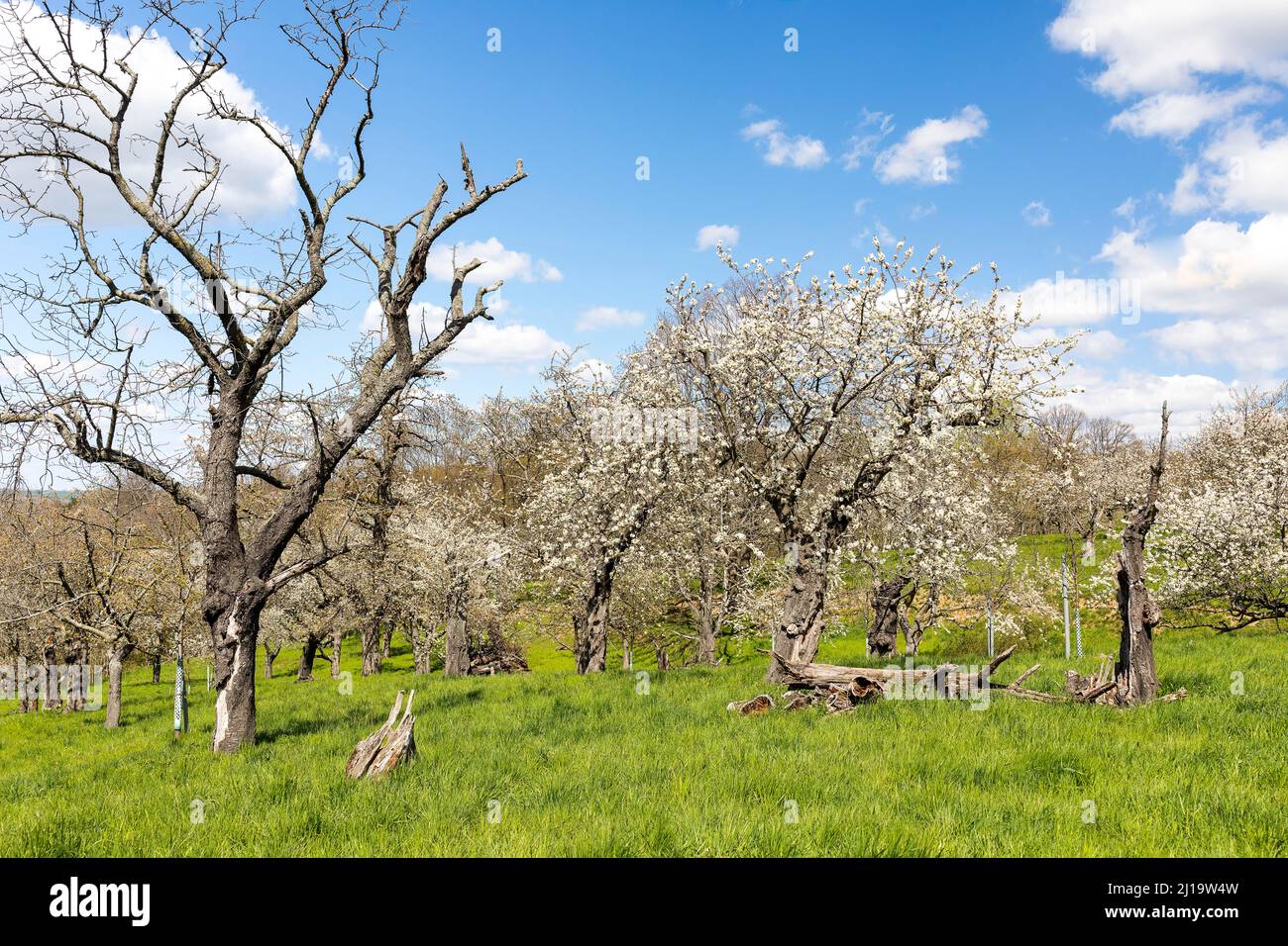 Elbland saxon hi-res stock photography and images - Alamy