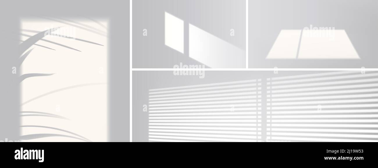 Shadow overlay effect from window, blinds and plant leaves on white ...