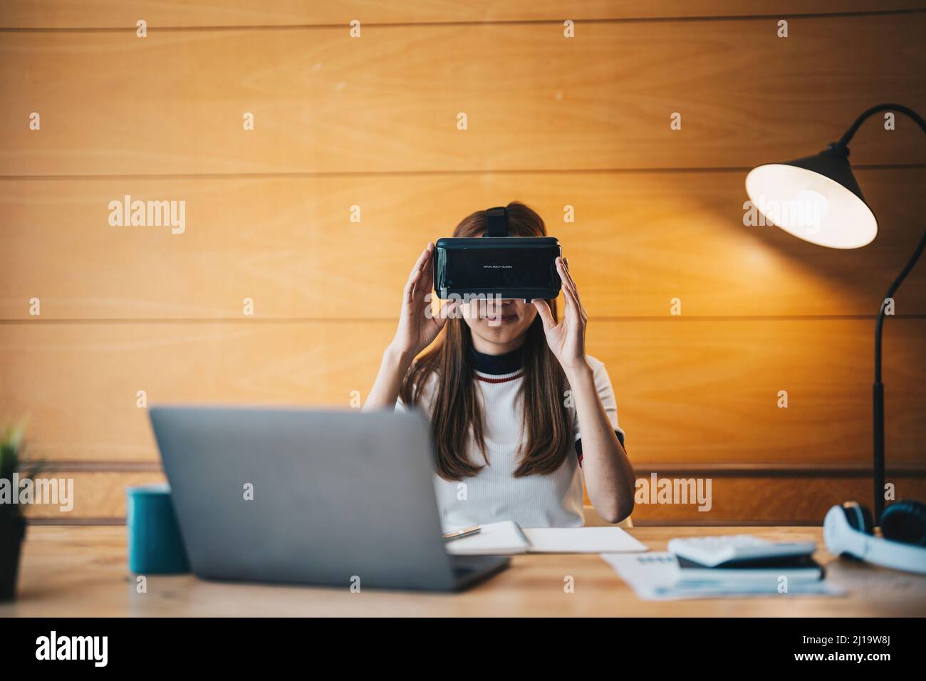 Video game developer female hi-res stock photography and images - Alamy