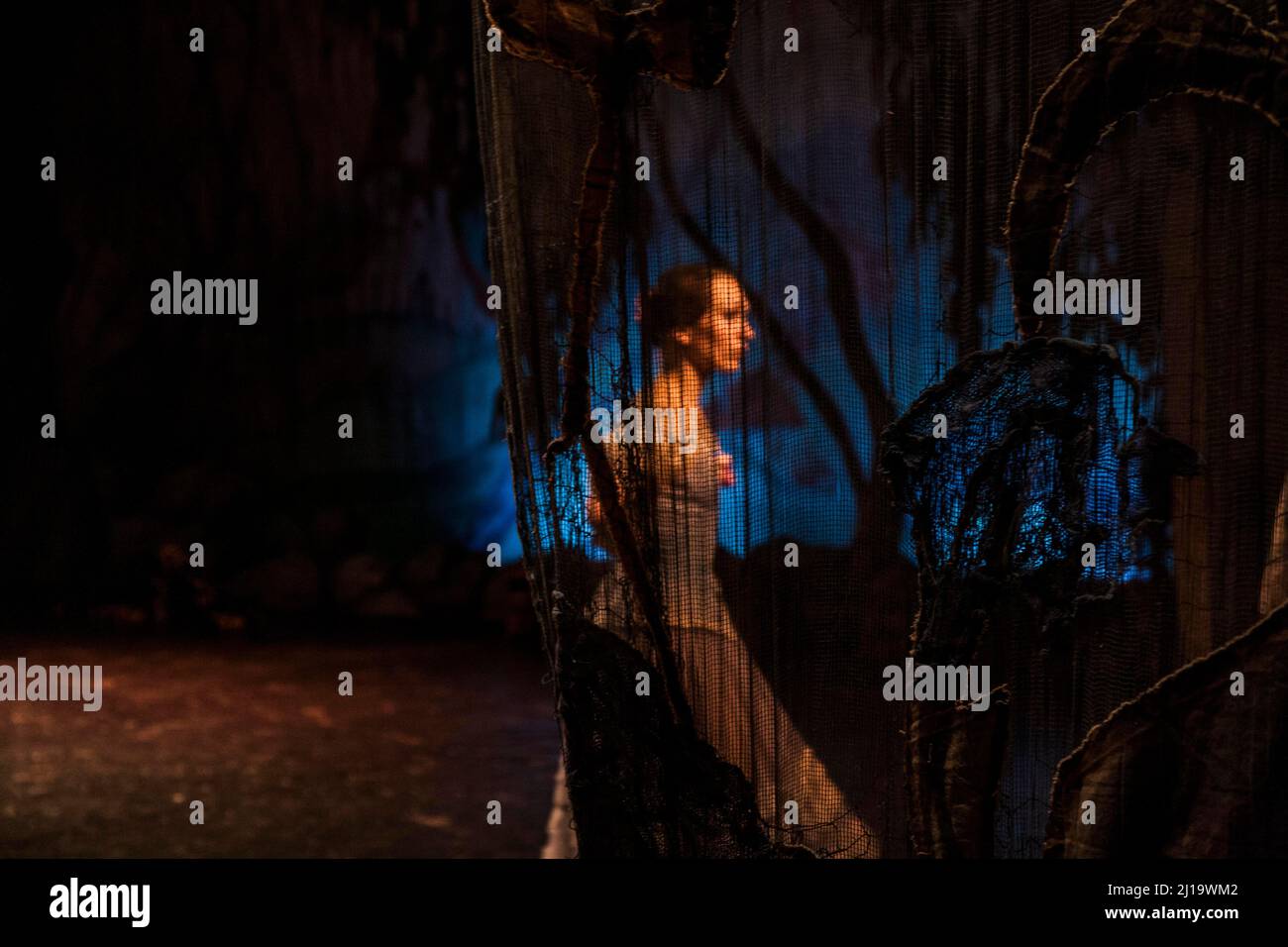 Ballet dancer through a curtain during the performance of Tchaikovsky s ...