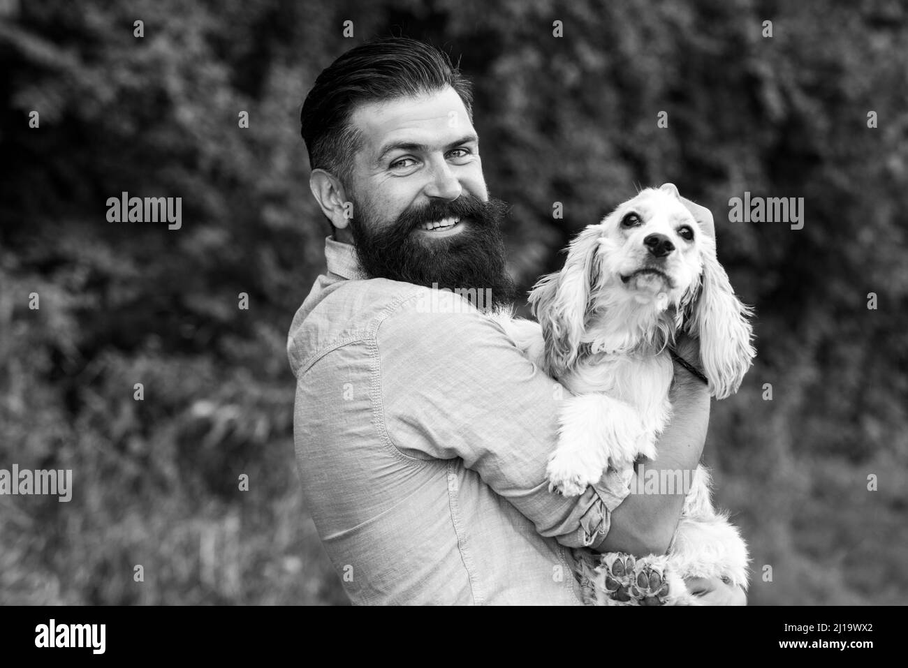 Cocker spaniel Black and White Stock Photos & Images - Alamy