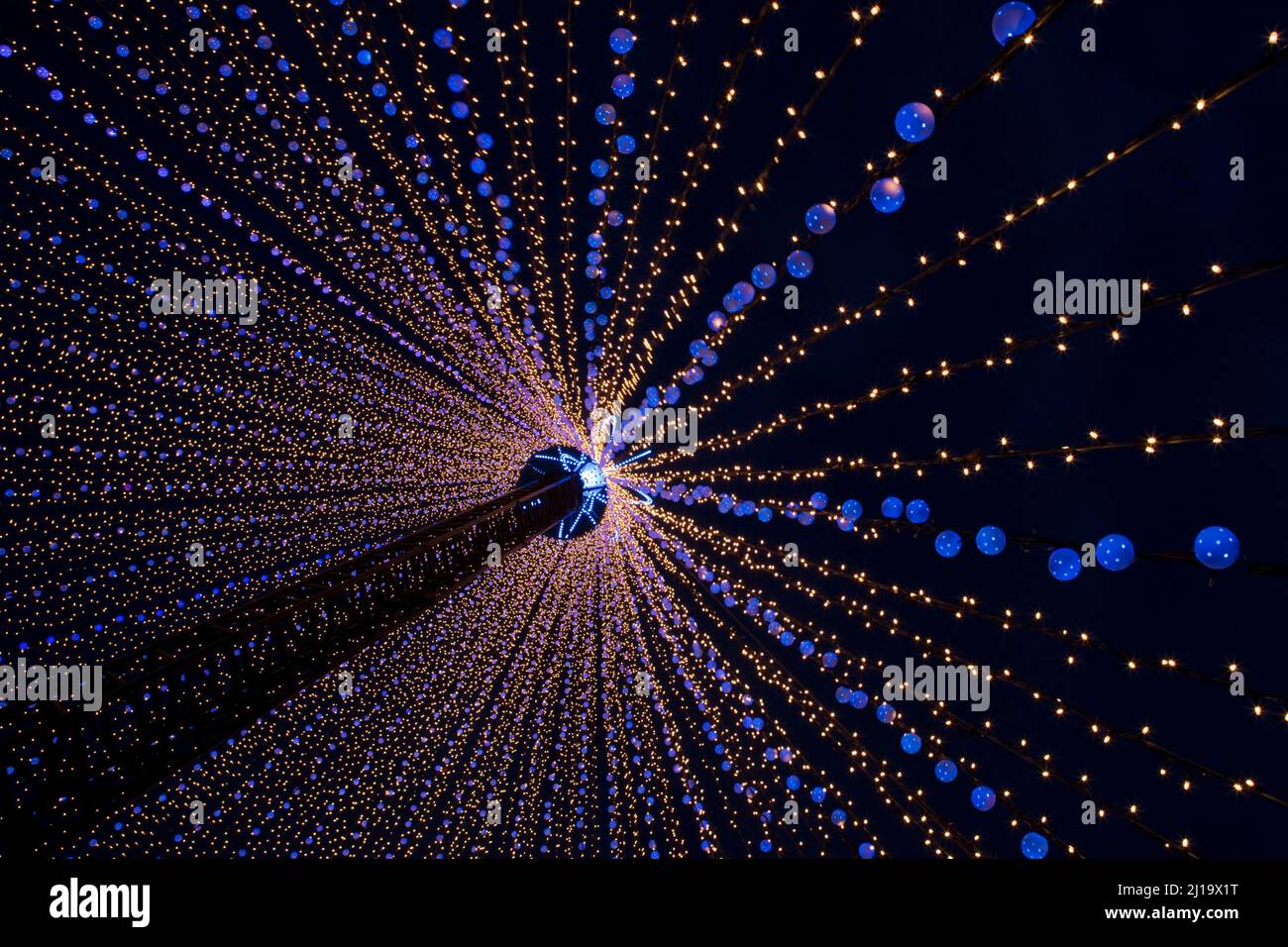 The Telecom Christmas Tree, Victoria Park, Auckland, New Zealand Stock ...