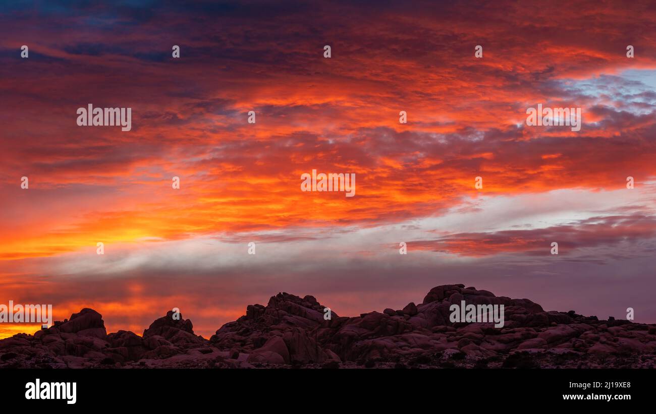 Joshua Tree National Park at sunset with beautiful desert landscape ...